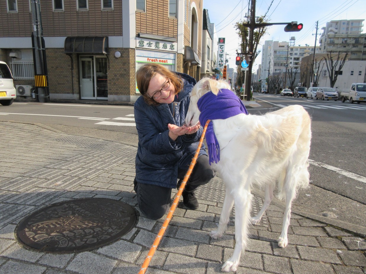 amylangekawamuradotcom | A place for kids to learn about Fukushima